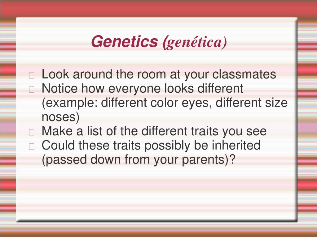 PPT - Genetics ( genética) PowerPoint Presentation, free download - ID ...