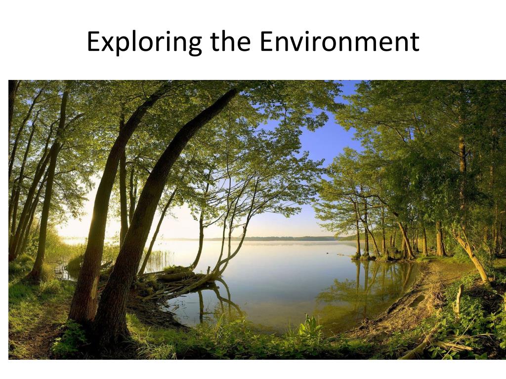 PPT - Exploring the Environment PowerPoint Presentation, free download ...