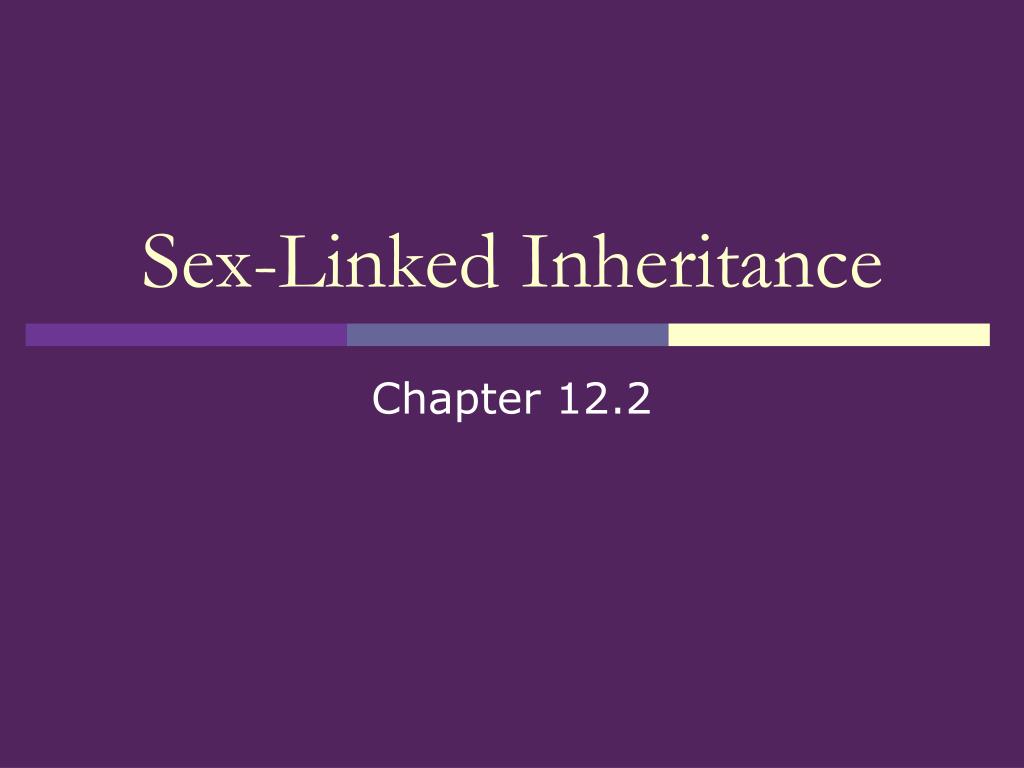 Ppt Sex Linked Inheritance Powerpoint Presentation Free Download Id 5175692