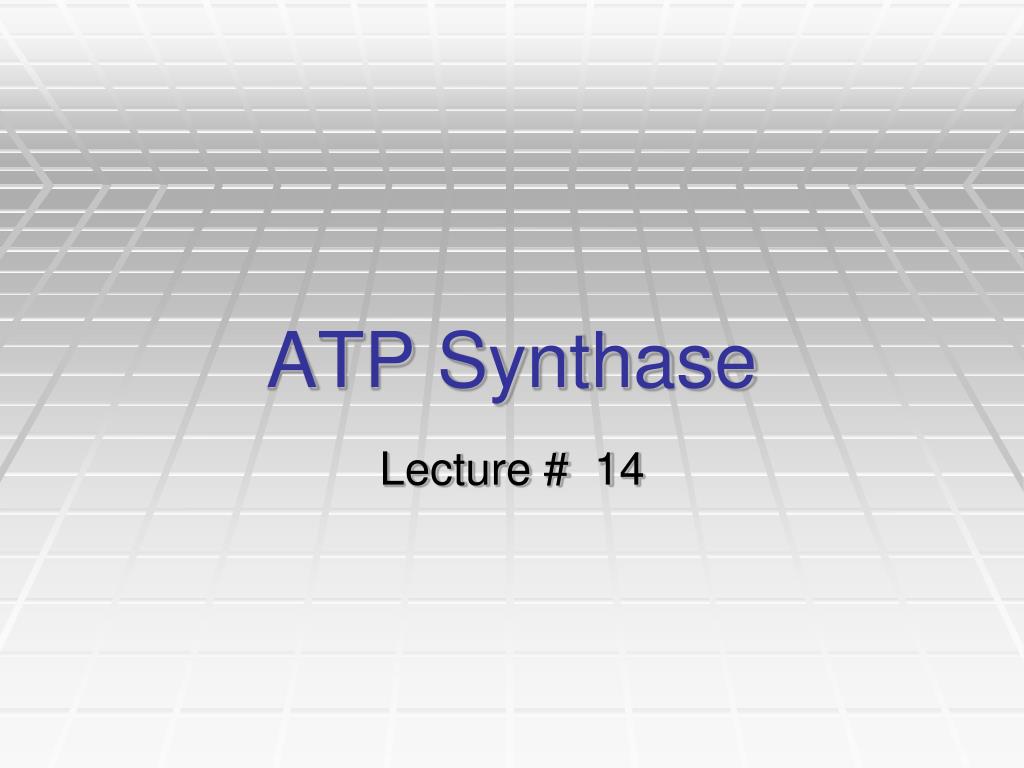PPT - ATP Synthase PowerPoint Presentation, free download - ID:5176414