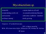 PPT - Mycobacterium PowerPoint Presentation, free download - ID:1411627