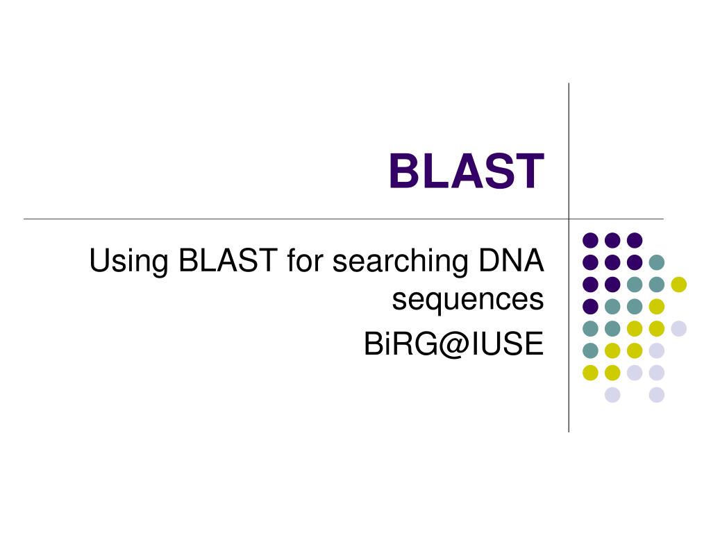 PPT - BLAST PowerPoint Presentation, free download - ID:5179757