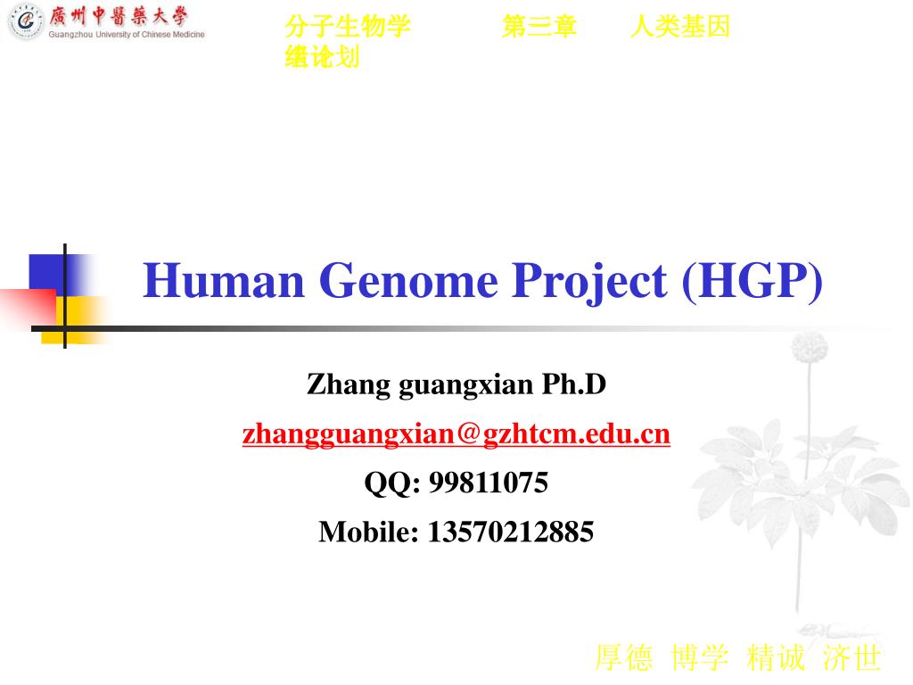 PPT - Human Genome Project (HGP) PowerPoint Presentation, free download ...