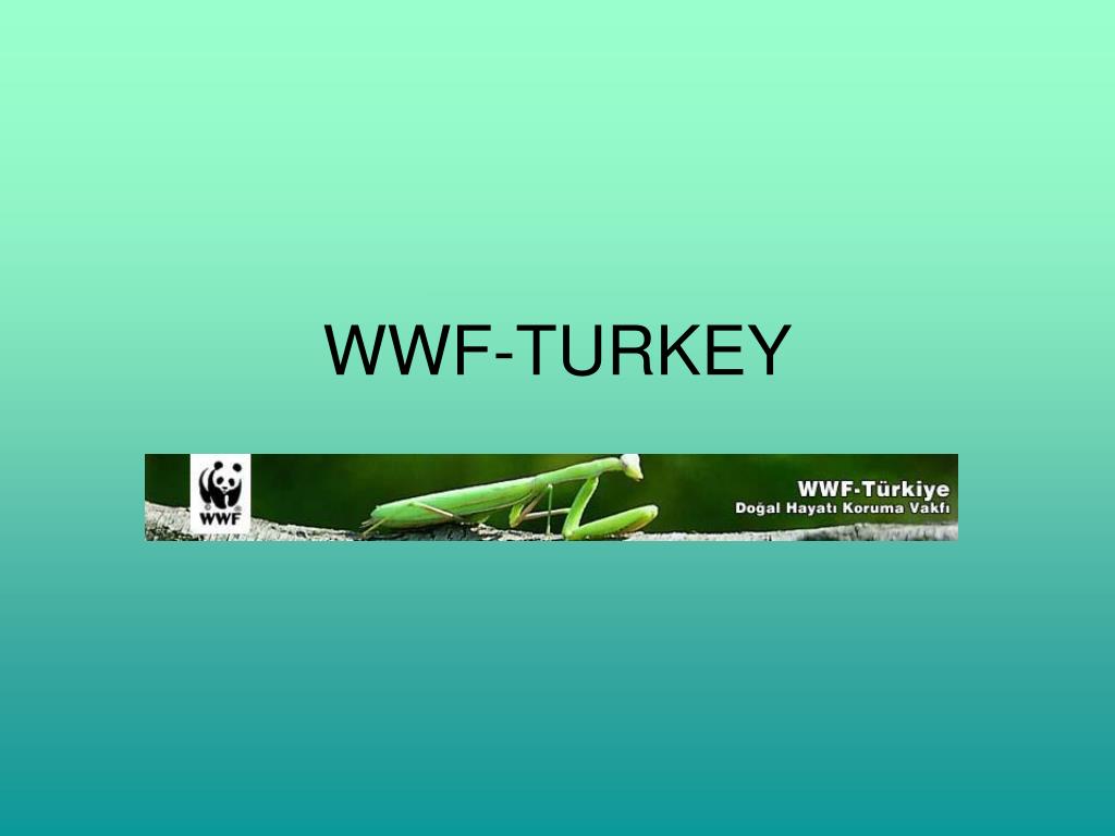 PPT - WWF-TURKEY PowerPoint Presentation, free download - ID:5185060