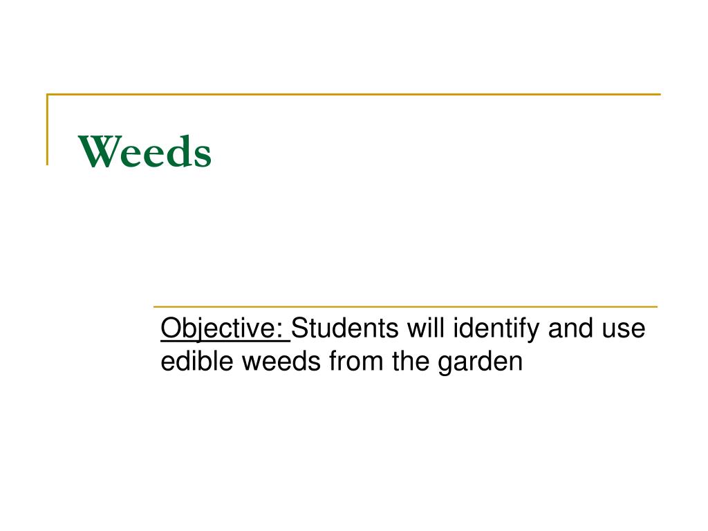 PPT - Weeds PowerPoint Presentation, free download - ID:5187685
