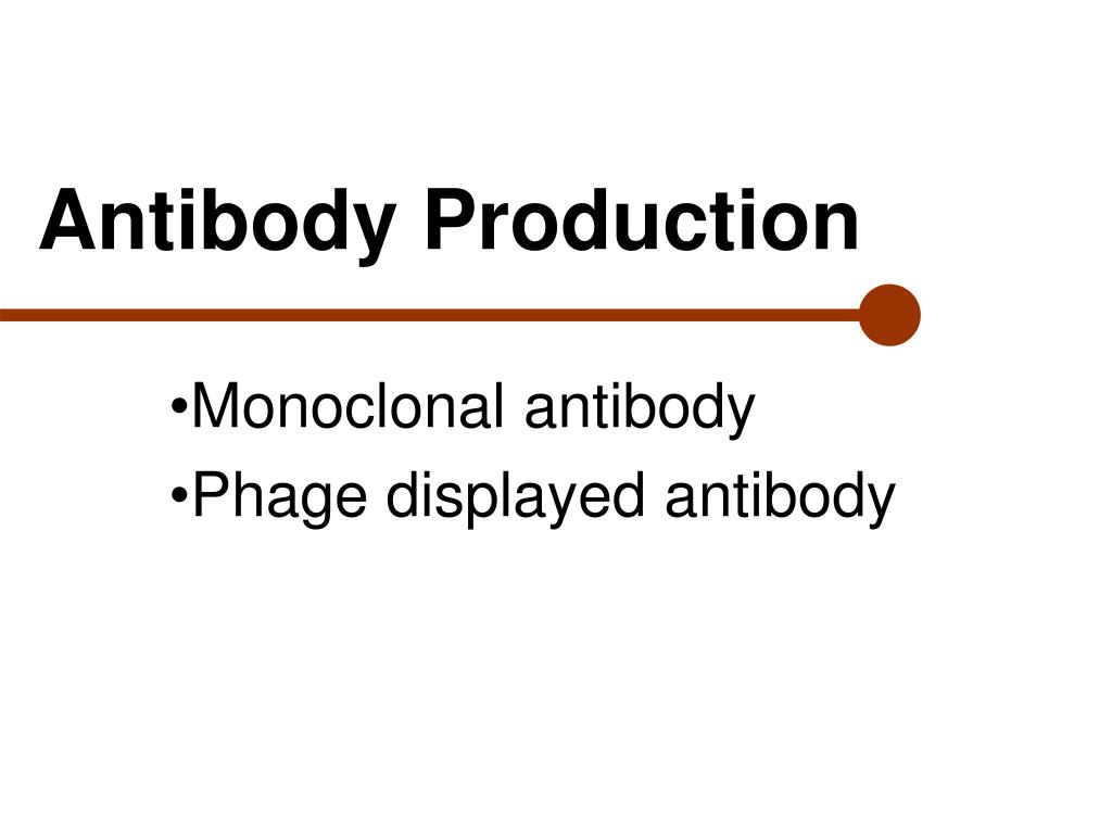 PPT - Antibody Production PowerPoint Presentation, free download - ID ...
