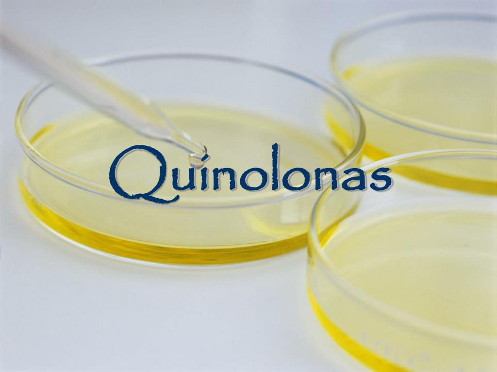PPT - Quinolonas PowerPoint Presentation, free download - ID:5195874
