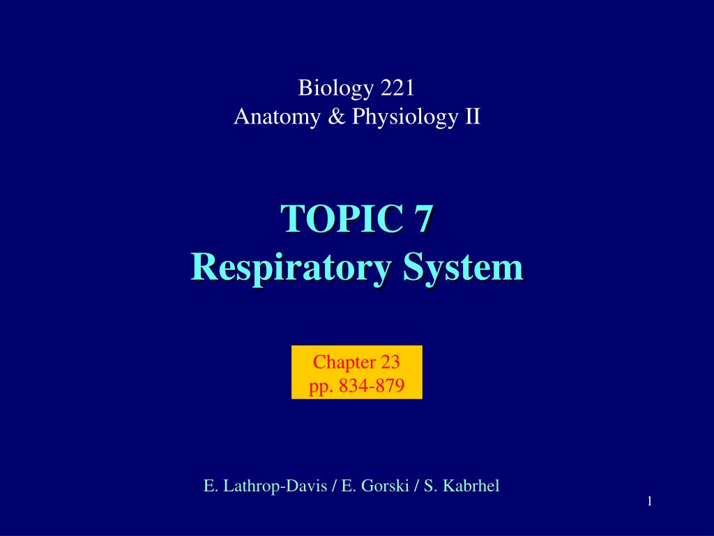 PPT - TOPIC 7 Respiratory System PowerPoint Presentation, free download ...