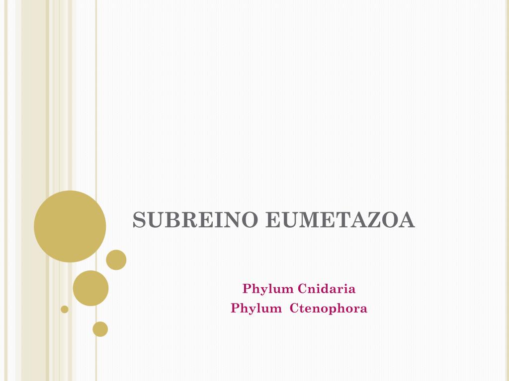 PPT - SUBREINO EUMETAZOA PowerPoint Presentation, free download - ID ...