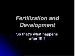 PPT - Fertilization and implantation PowerPoint Presentation, free ...