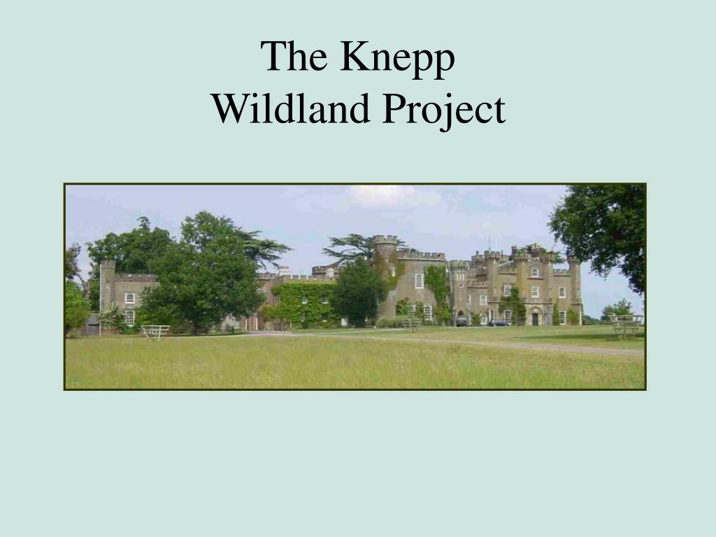 PPT - The Knepp Wildland Project PowerPoint Presentation, free download ...