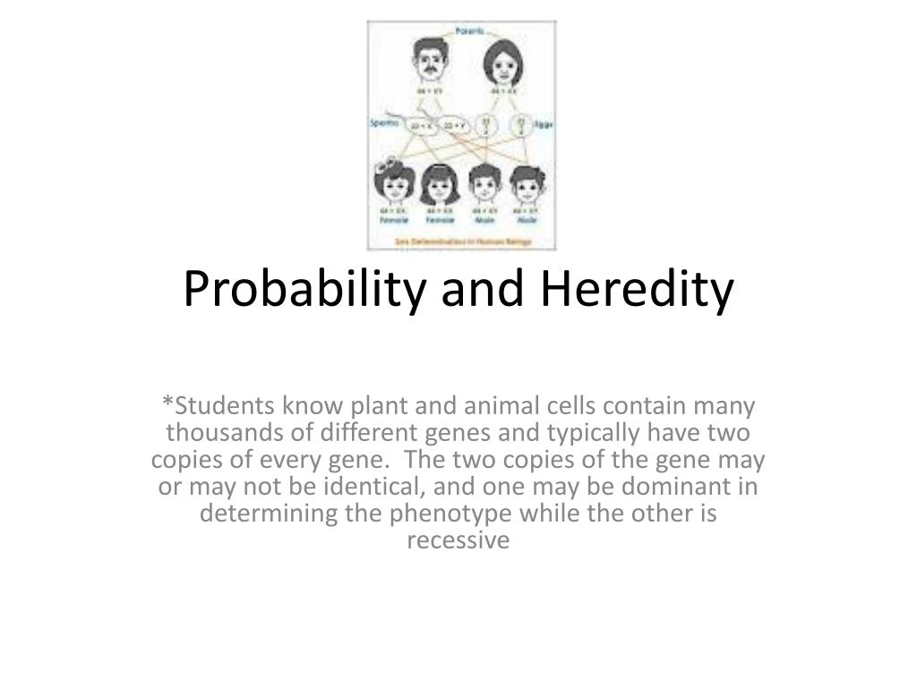 PPT - Probability and Heredity PowerPoint Presentation, free download ...