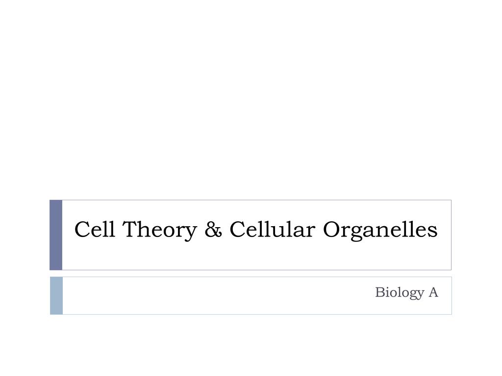 PPT - Cell Theory & Cellular Organelles PowerPoint Presentation - ID ...