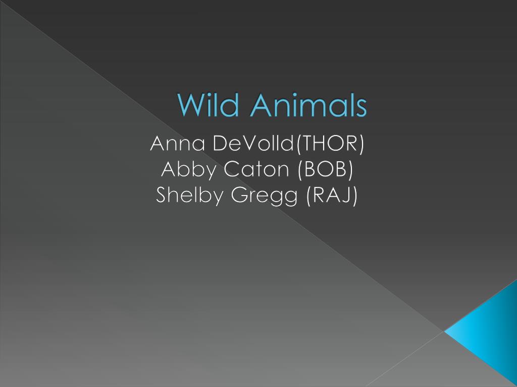 PPT - Wild Animals PowerPoint Presentation, free download - ID:5244650