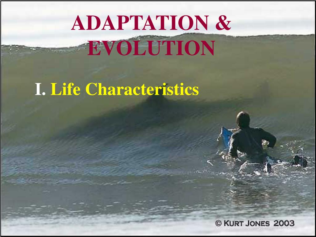 PPT - ADAPTATION & EVOLUTION PowerPoint Presentation, free download ...