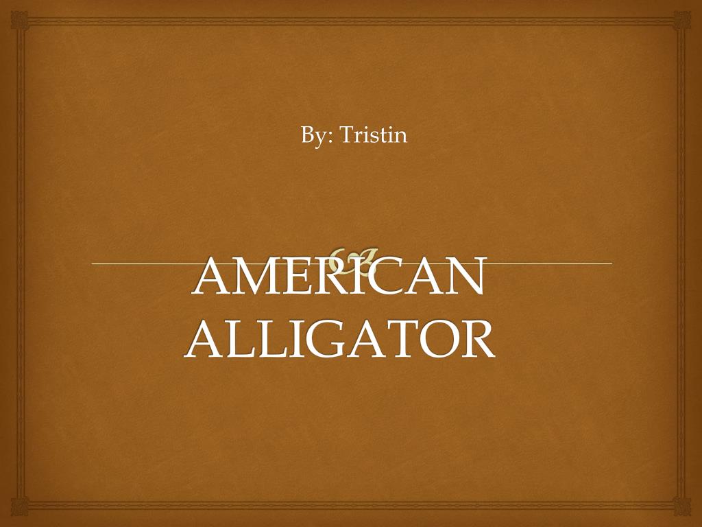 PPT - AMERICAN ALLIGATOR PowerPoint Presentation, free download - ID ...
