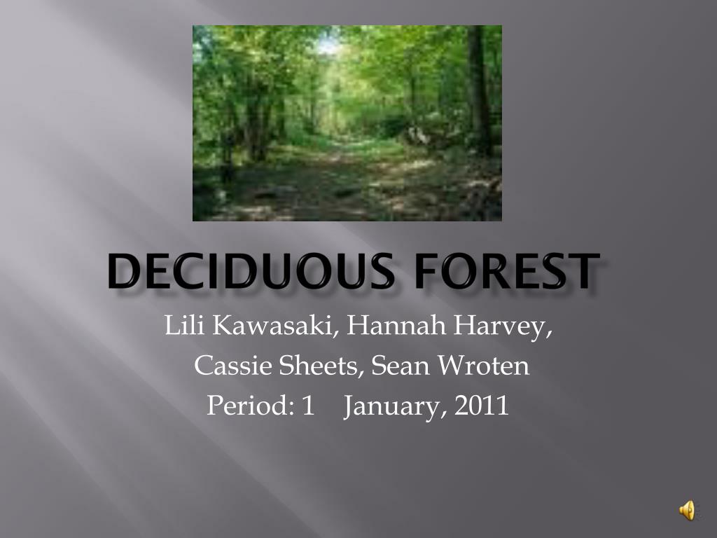 PPT - Deciduous Forest PowerPoint Presentation, free download - ID:5259955
