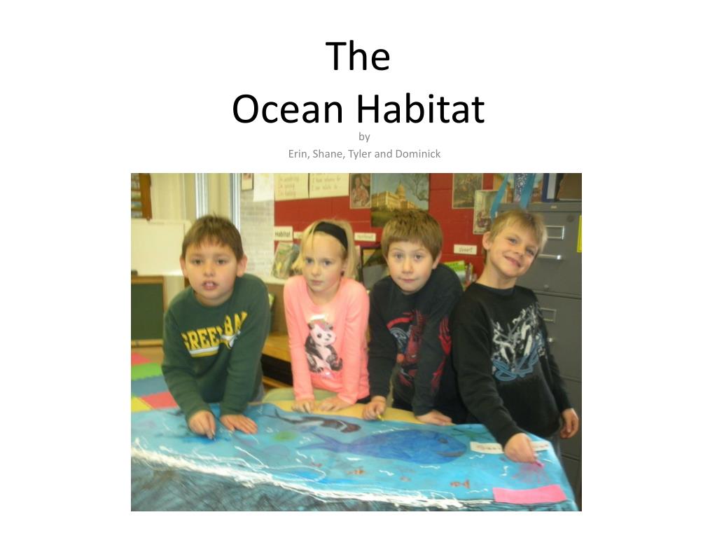 PPT - The Ocean Habitat PowerPoint Presentation, free download - ID:5262473