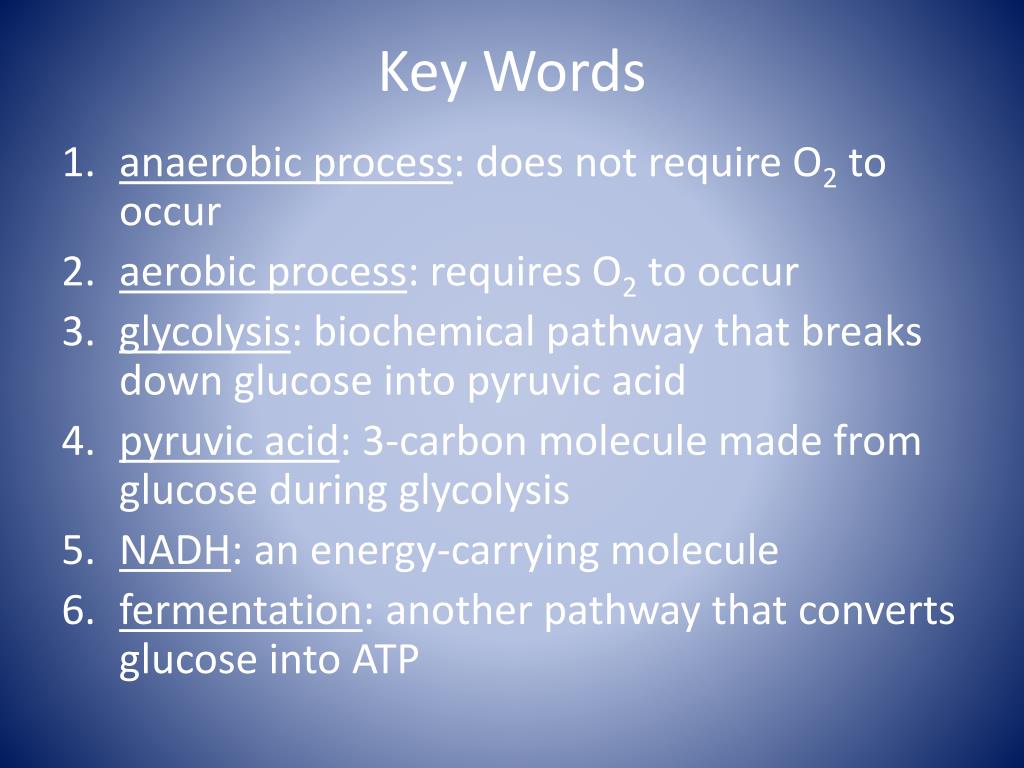 PPT - Key Words PowerPoint Presentation, free download - ID:5263349