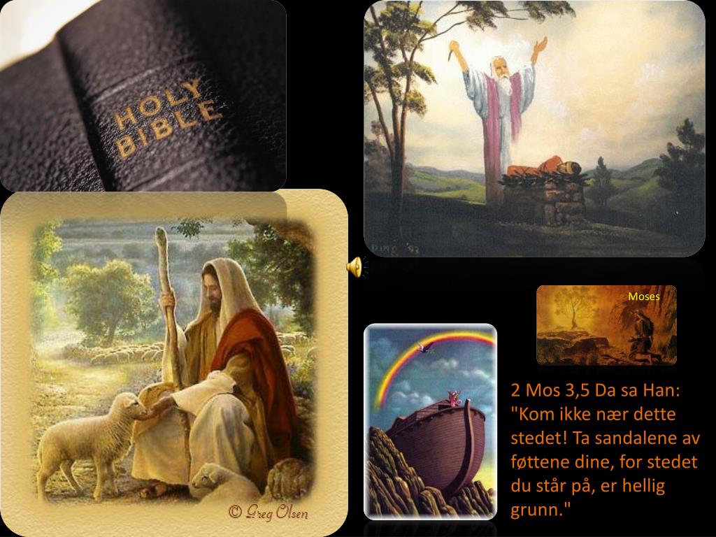 PPT - Moses PowerPoint Presentation, free download - ID:5269236