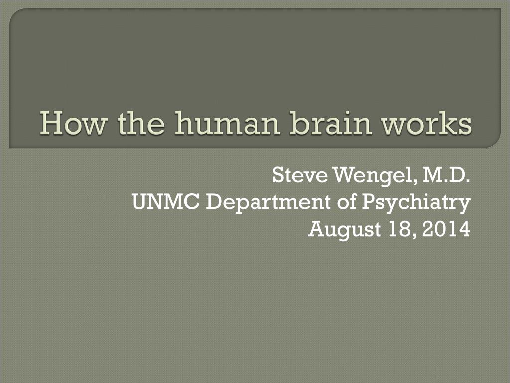 PPT - How the human brain works PowerPoint Presentation, free download ...