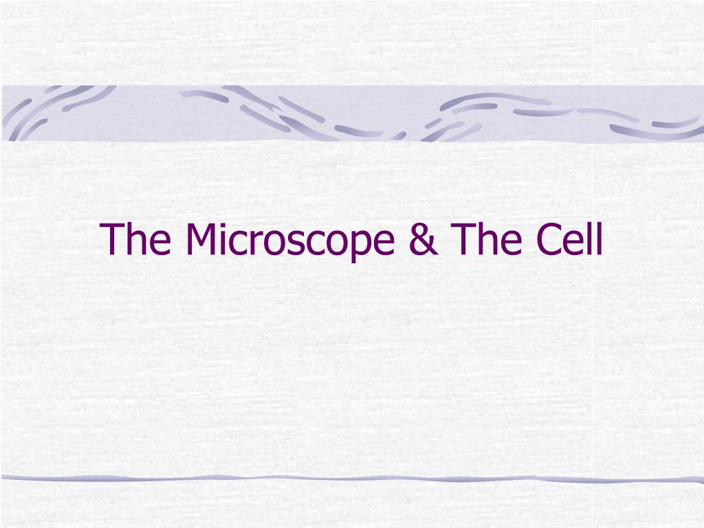 PPT - Journey Through Cell Discovery: Microscope to Organelles ...