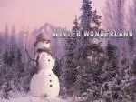 PPT - Winter Wonderland PowerPoint Presentation, free download - ID:7766951