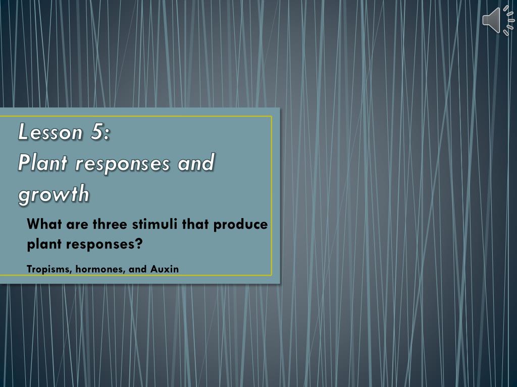 PPT - Lesson 5: Plant responses and growth PowerPoint Presentation ...