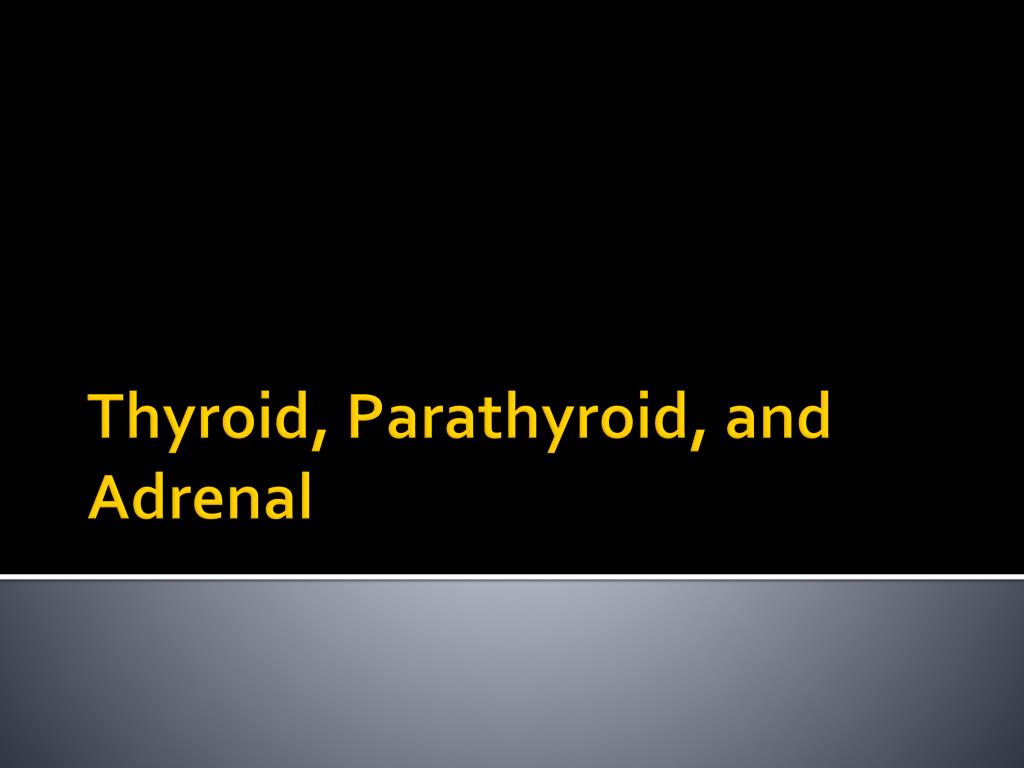 PPT - Thyroid, Parathyroid, and Adrenal PowerPoint Presentation, free ...