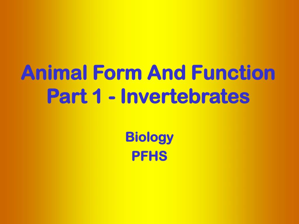 PPT - Animal Form And Function Part 1 - Invertebrates PowerPoint ...