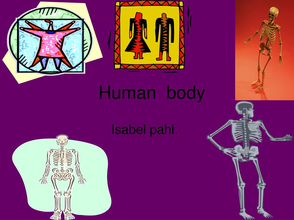 PPT - Human body PowerPoint Presentation, free download - ID:5299258