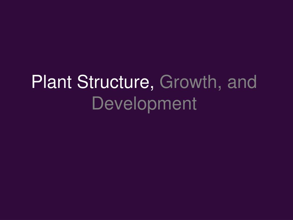 PPT - Plant Structure, Growth, and Development PowerPoint Presentation ...
