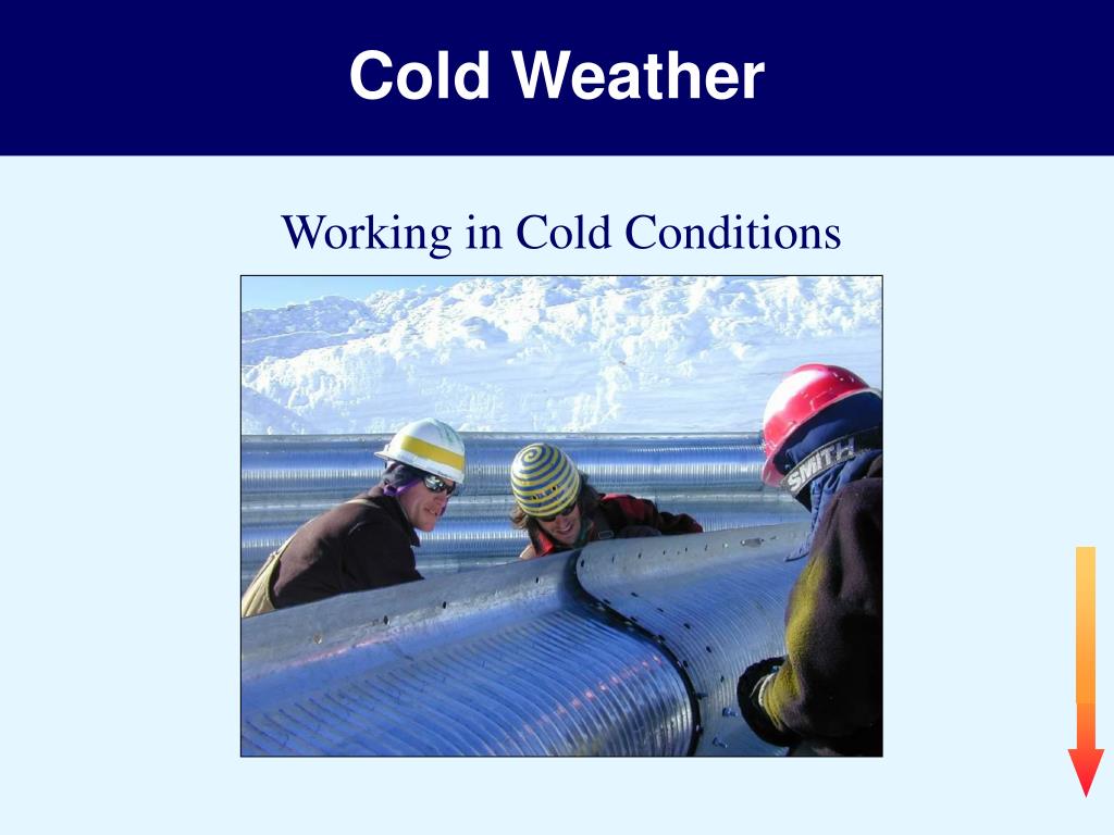 PPT - Cold Weather PowerPoint Presentation, free download - ID:5310639