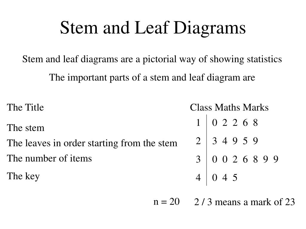 PPT - Stem and Leaf Diagrams PowerPoint Presentation, free download ...