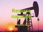 PPT - Resurse ale subsolului PowerPoint Presentation, free download ...