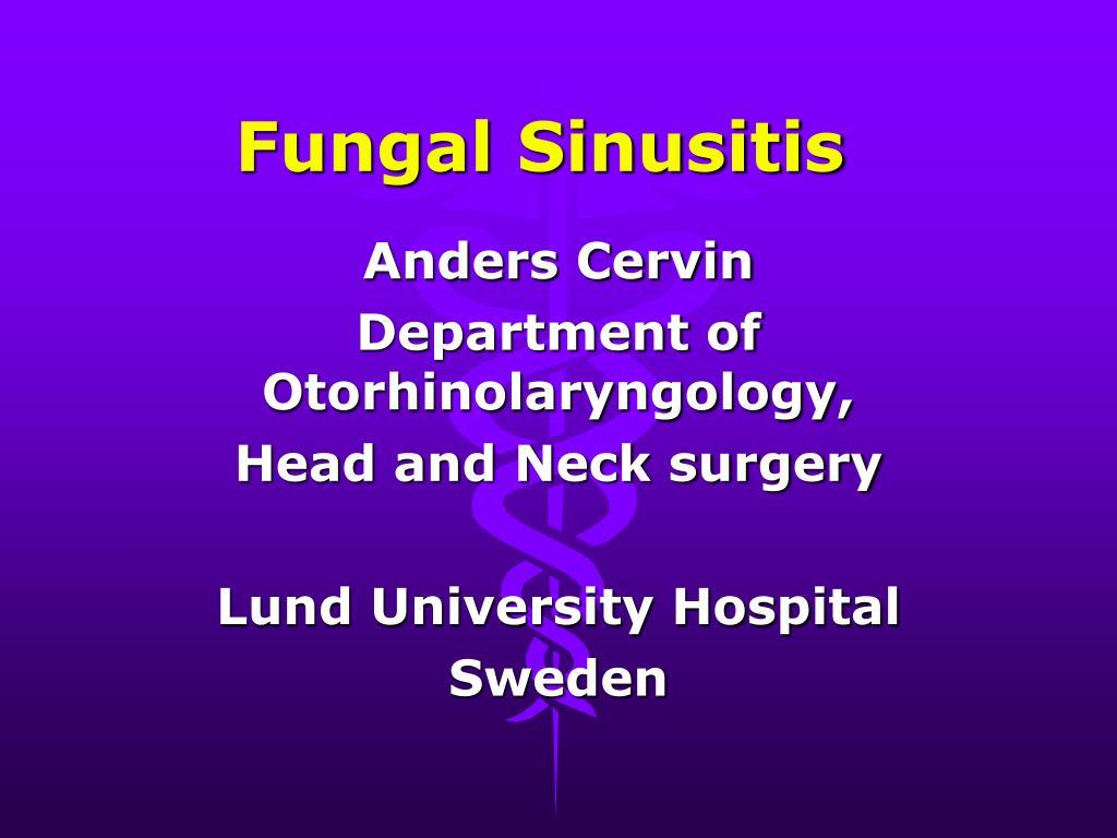 PPT - Fungal Sinusitis PowerPoint Presentation, free download - ID:5318175