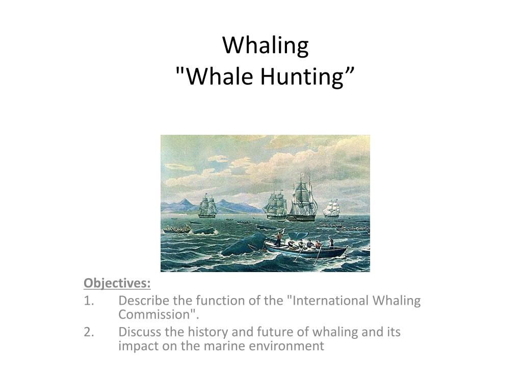 PPT - Whaling "Whale Hunting” PowerPoint Presentation, free download ...
