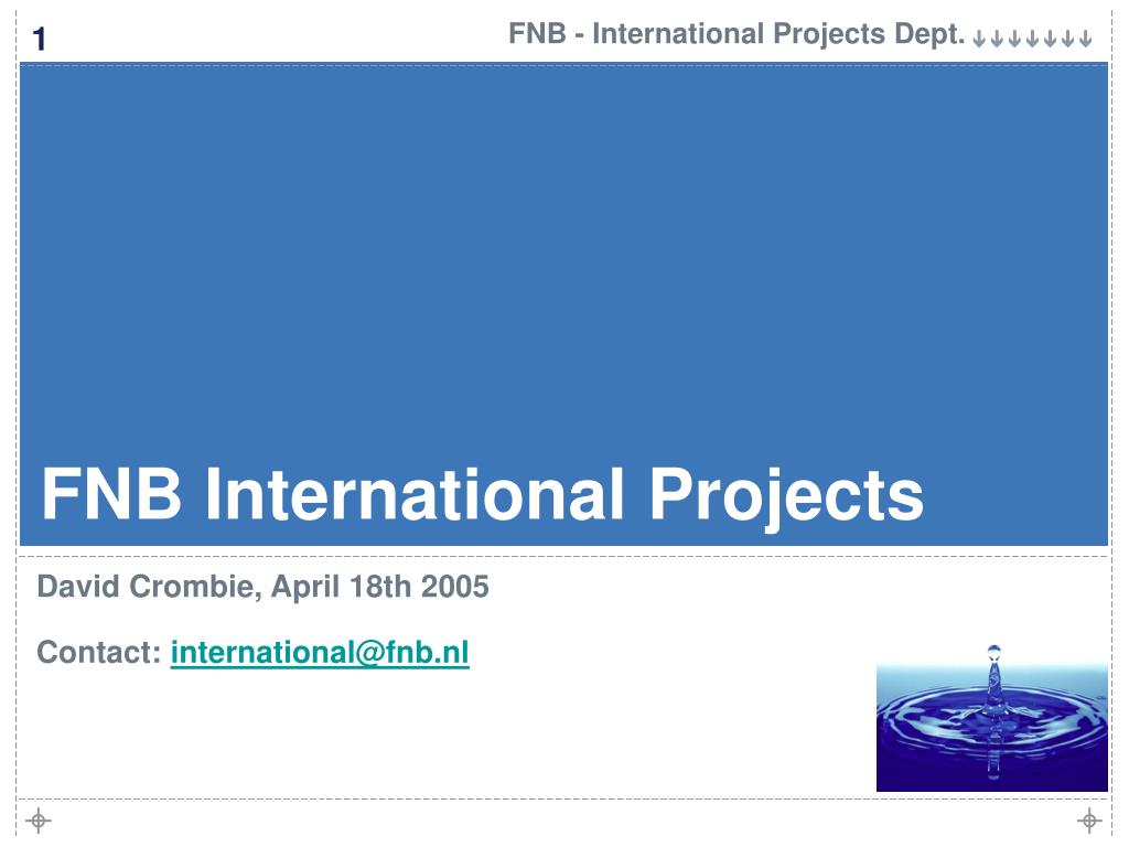 PPT - FNB International Projects PowerPoint Presentation, free download ...
