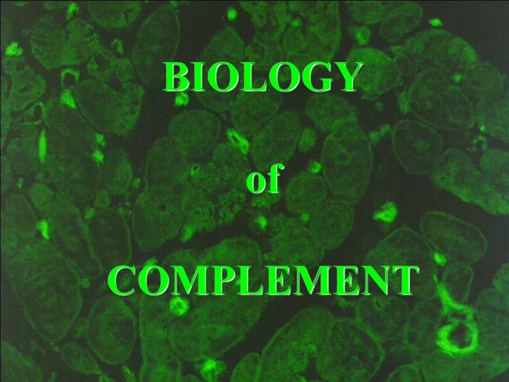 PPT - Understanding the Role of C4d and C3 in Complement Activation and ...