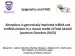 PPT - Fetal Alcohol Spectrum Disorders (FASD): Identification and ...