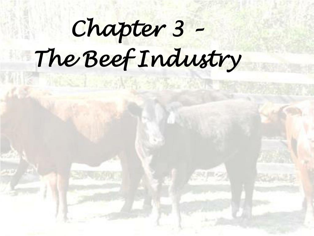 PPT - Chapter 3 – The Beef Industry PowerPoint Presentation, free ...