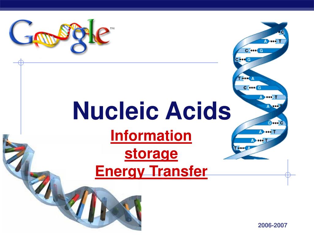 PPT - Nucleic Acids PowerPoint Presentation, free download - ID:5327486