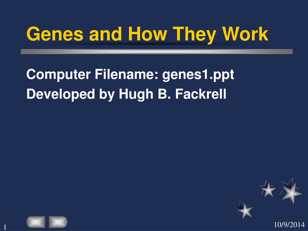 PPT - Genes and How They Work PowerPoint Presentation, free download ...