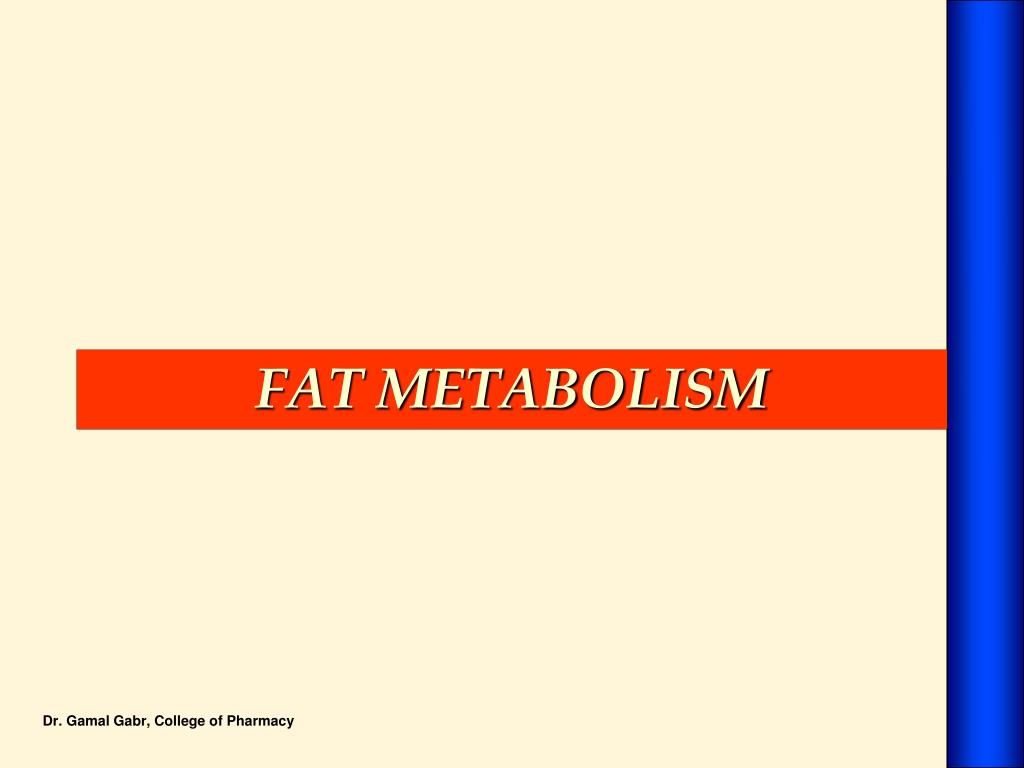 PPT - FAT METABOLISM PowerPoint Presentation, free download - ID:5328221