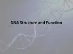 PPT - DNA Structure and Function PowerPoint Presentation, free download ...