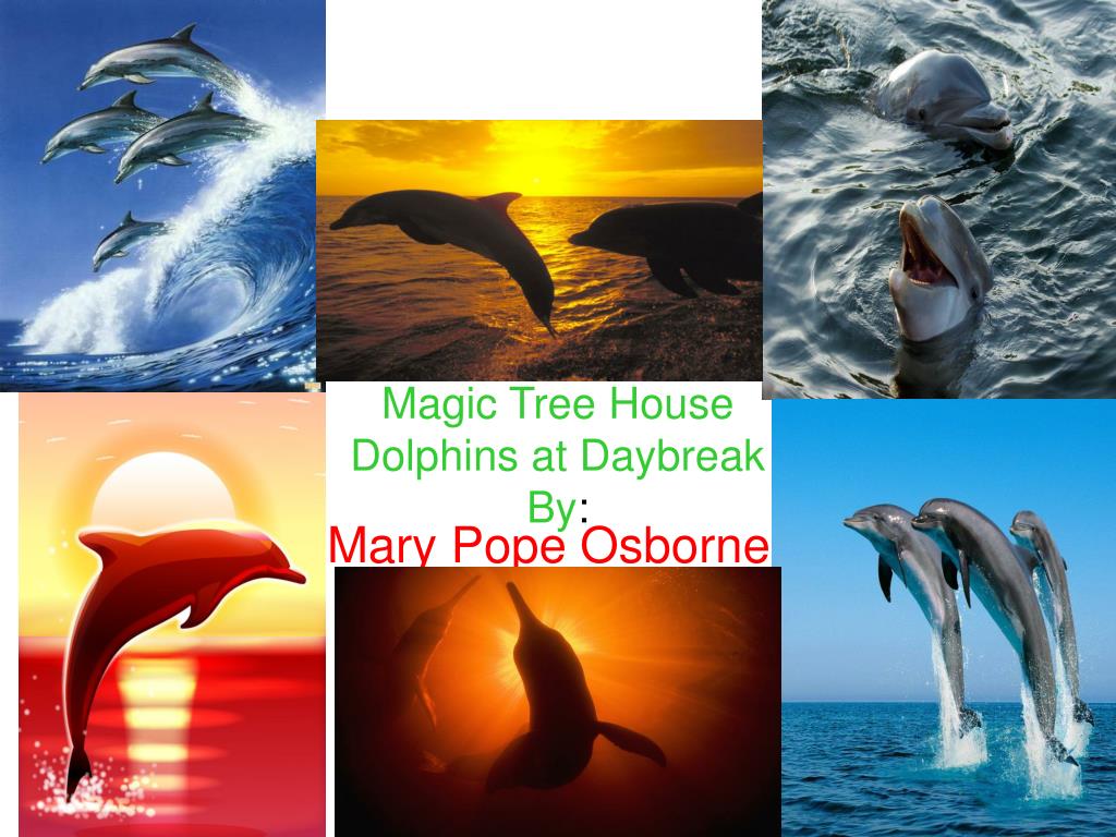 PPT - Magic Tree House Dolphins at Daybreak By : PowerPoint ...