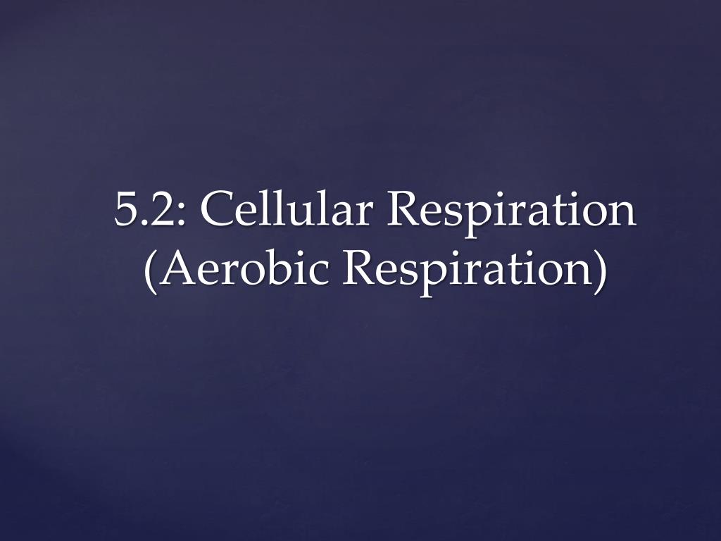 PPT - 5.2: Cellular Respiration (Aerobic Respiration) PowerPoint ...