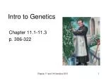 PPT - Genetics in Harry Potter ’s World PowerPoint Presentation, free ...