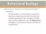 PPT - Behavioral Ecology PowerPoint Presentation, free download - ID ...