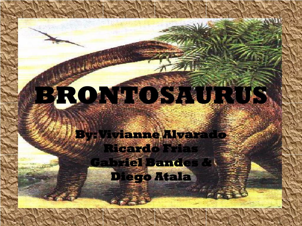 PPT - BRONTOSAURUS PowerPoint Presentation, free download - ID:5331883